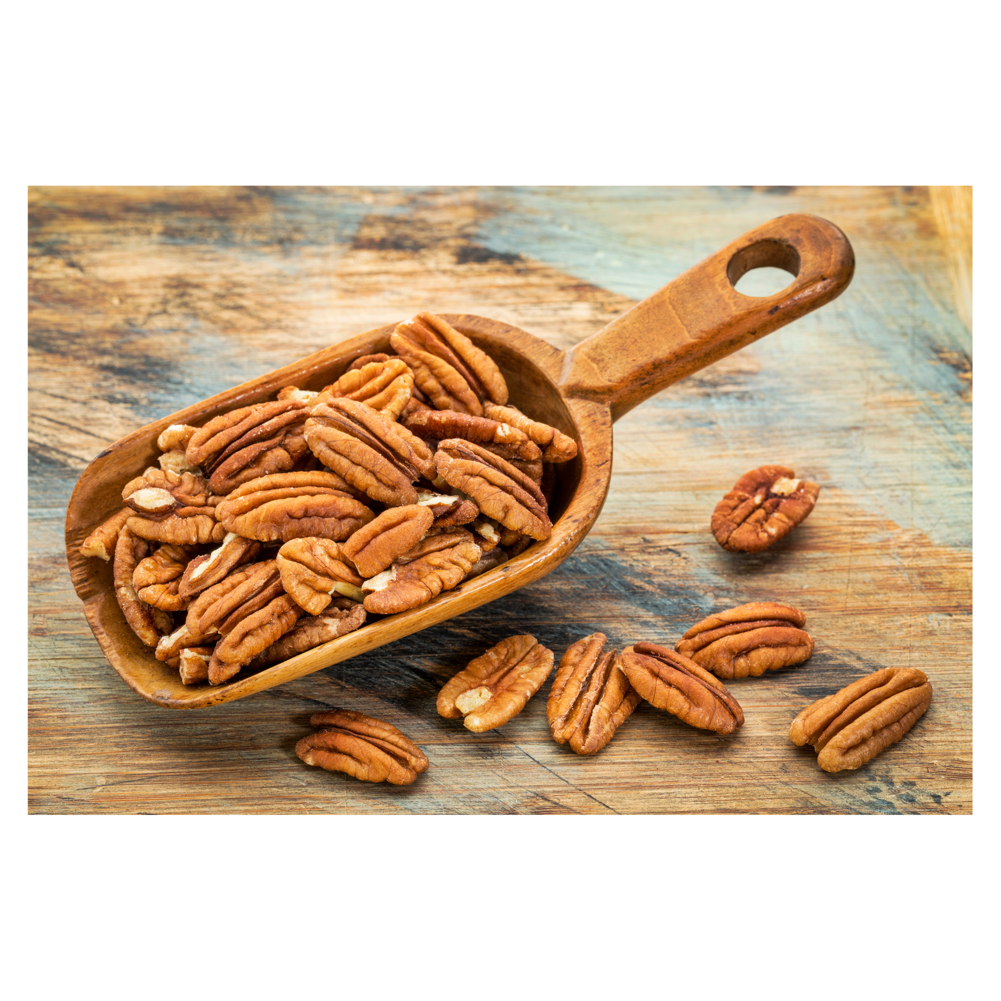 The Ultimate Guide to Growing and Caring for Pecan Trees – Pleasant ...